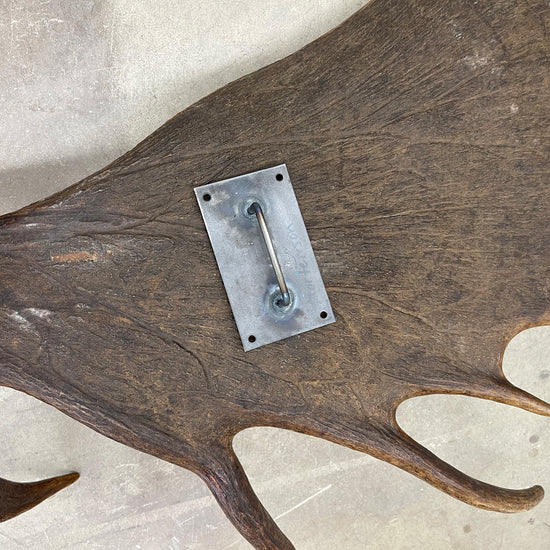 Moose Antler Wall Mounts – Farmhaus + Co